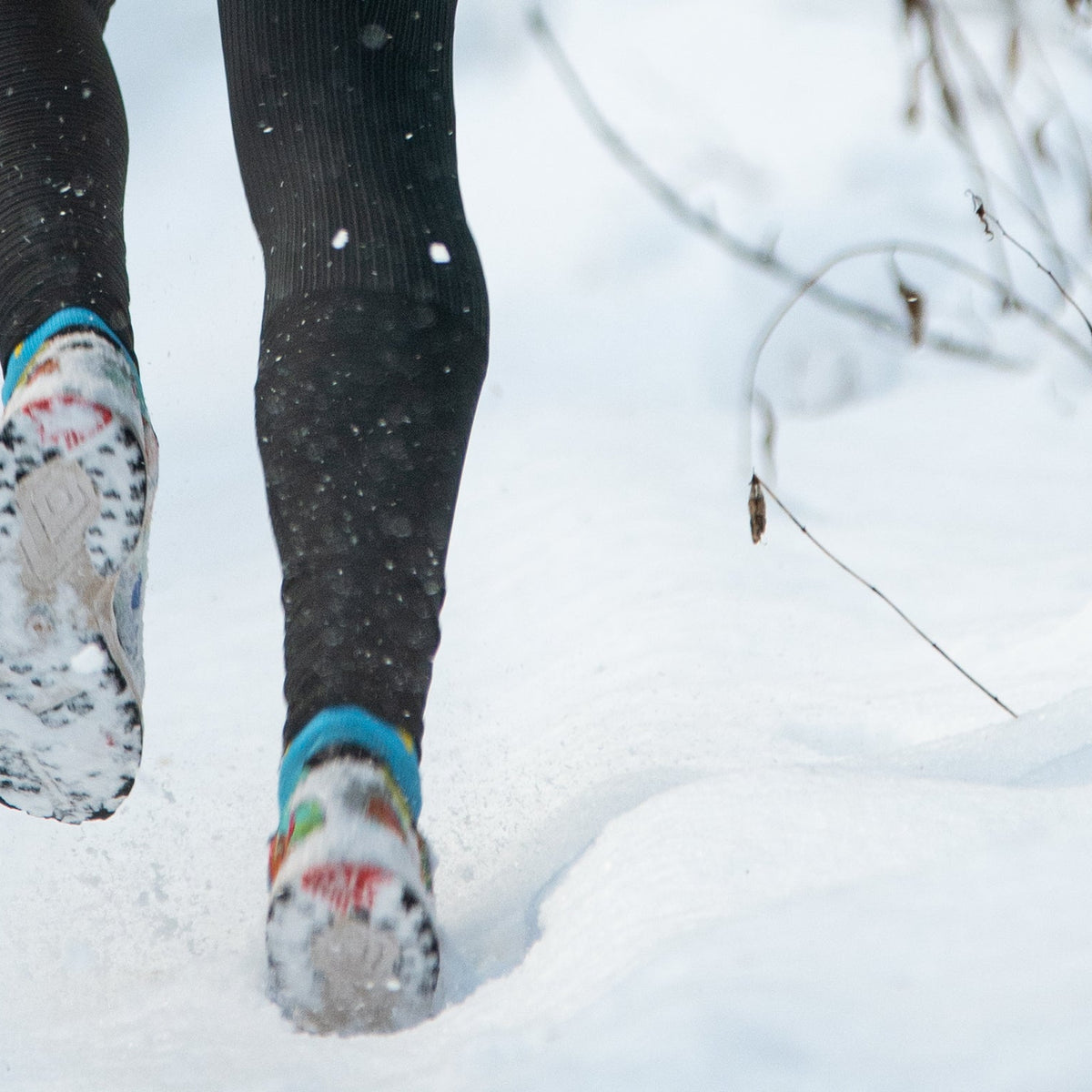 Winter Inventory Sale – GRYPH